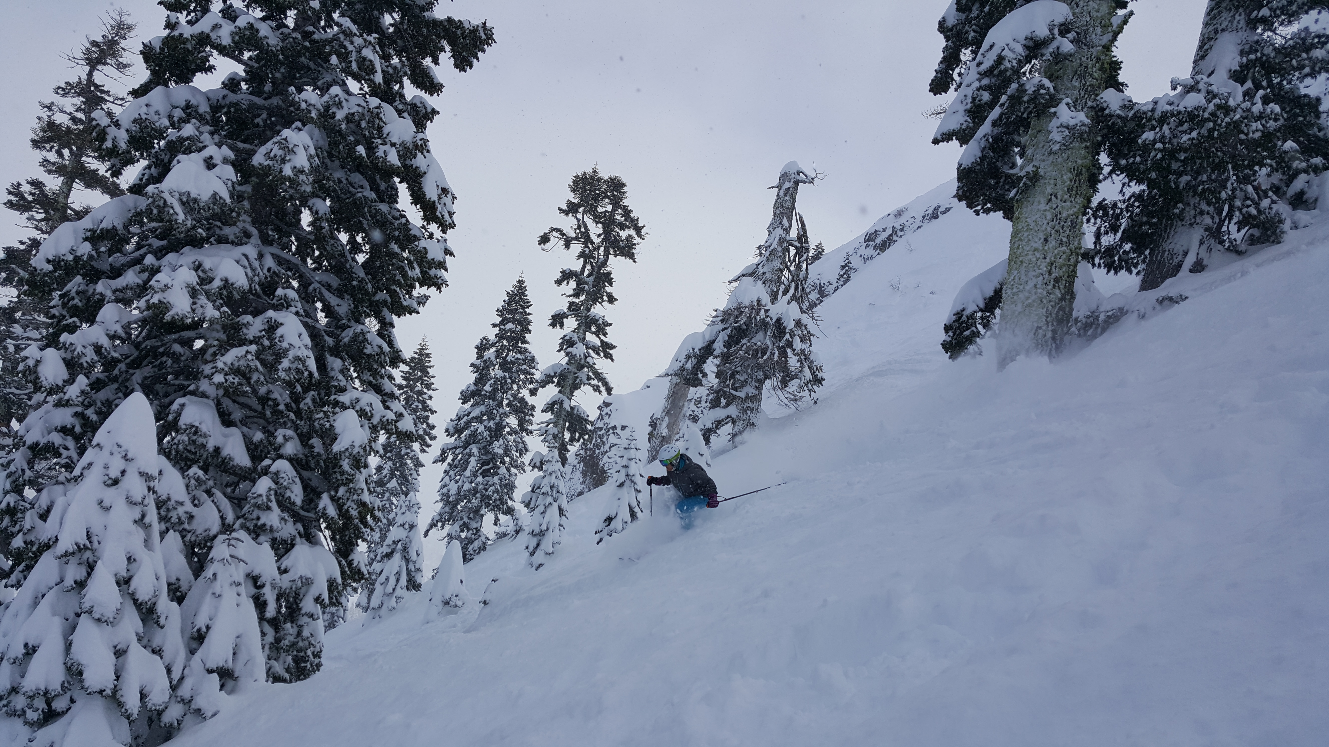 Epic January Snowfall Records - In Photos | Tahoe Luxury Properties