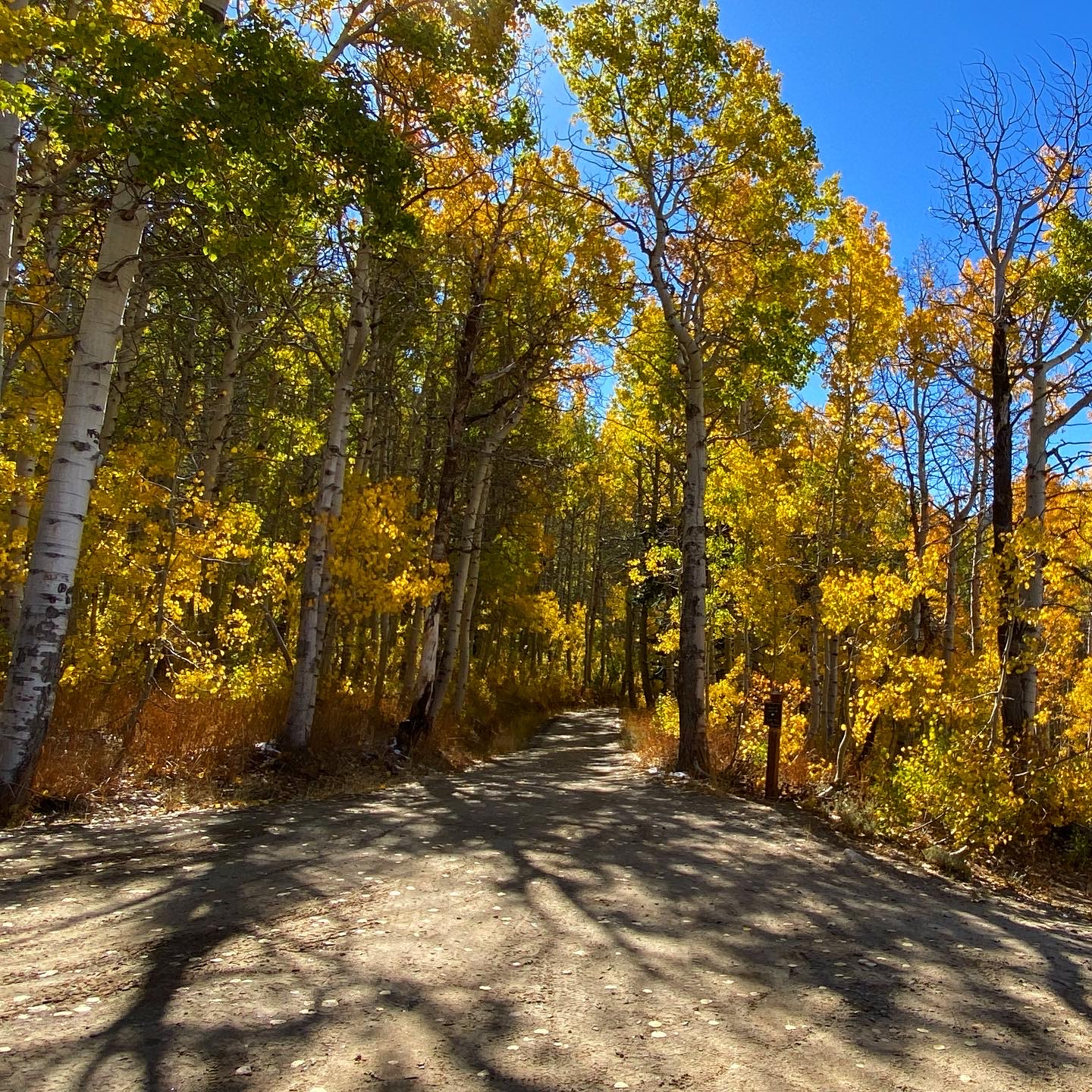Fall Fun: Our Guide to Incline Village | Tahoe Luxury Properties