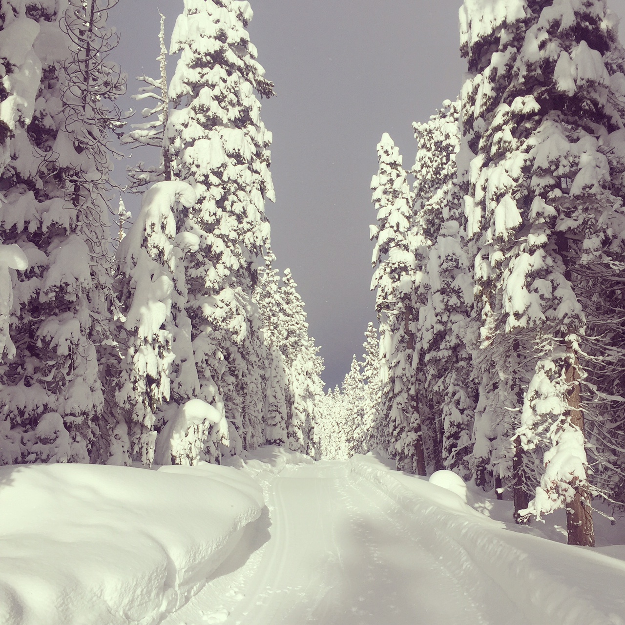 Epic January Snowfall Records - In Photos | Tahoe Luxury Properties