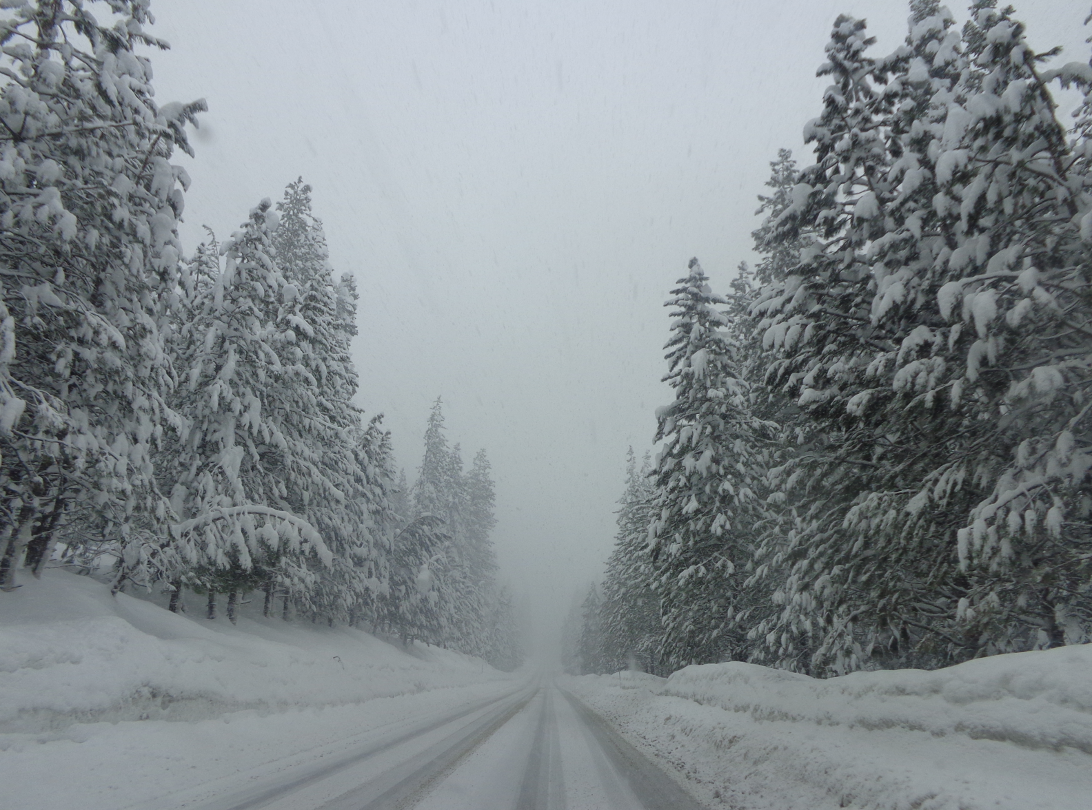 Epic January Snowfall Records - In Photos | Tahoe Luxury Properties